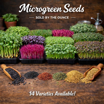 Heirloom Seeds from 49¢ | CheapSeeds.net – Cheap Seeds, LLC